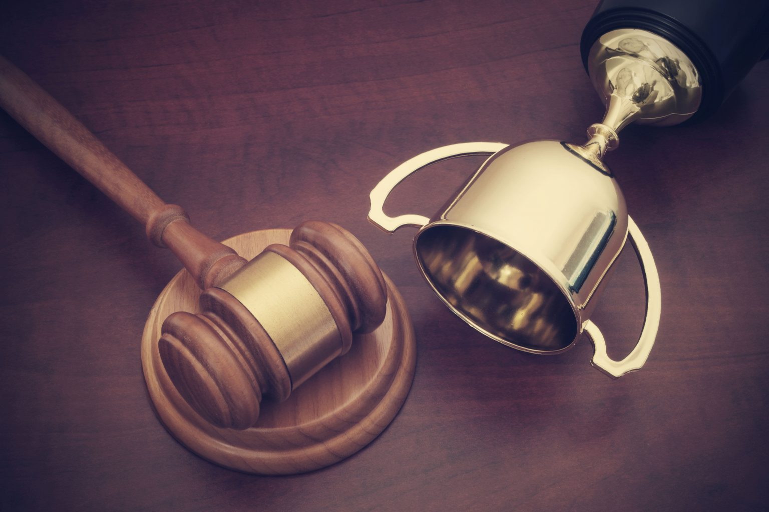 Fighting for Property Rights - Gaines & Stacey